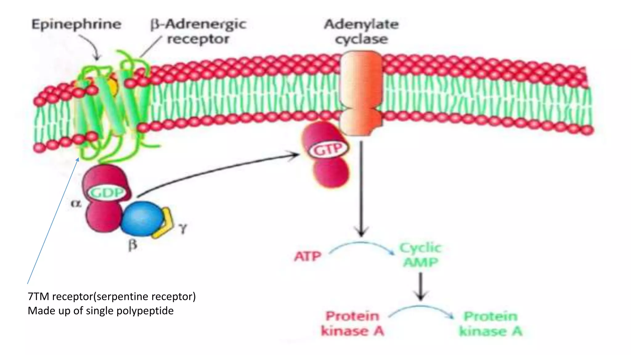 Types of signaling | PPTX