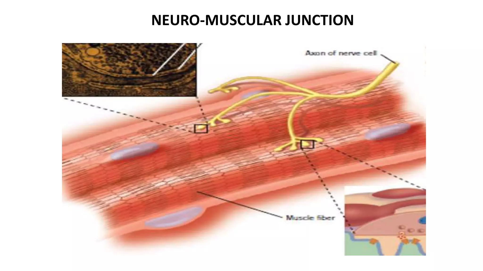 Types of signaling | PPTX