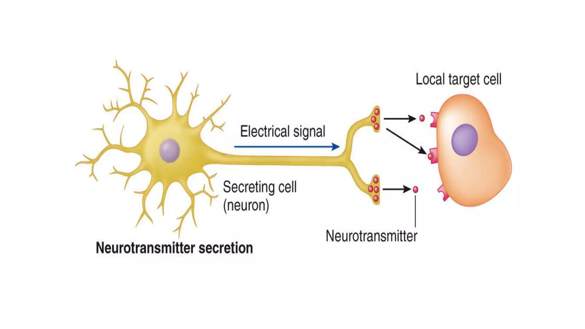 Types of signaling | PPTX