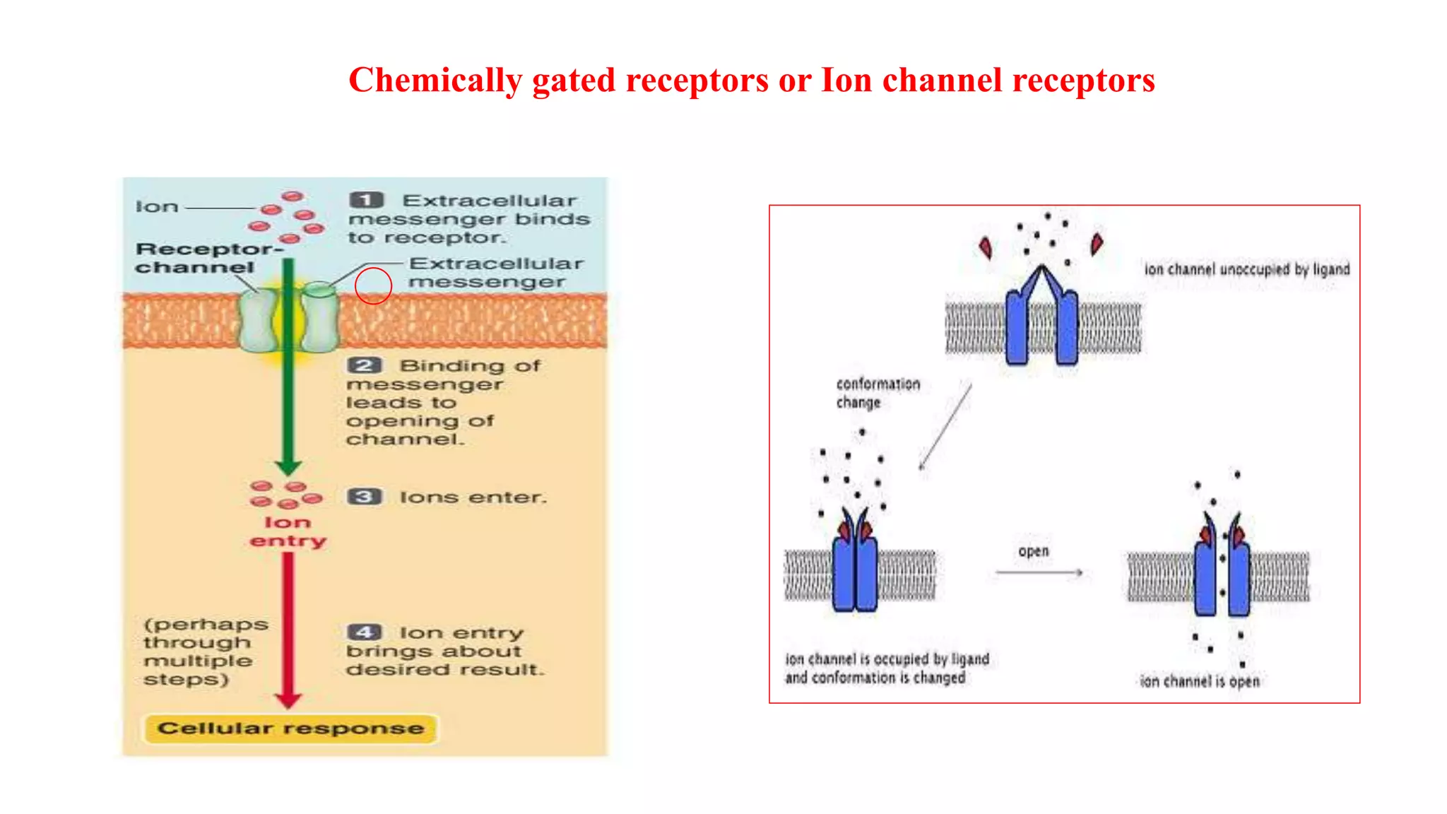 Types of signaling | PPTX