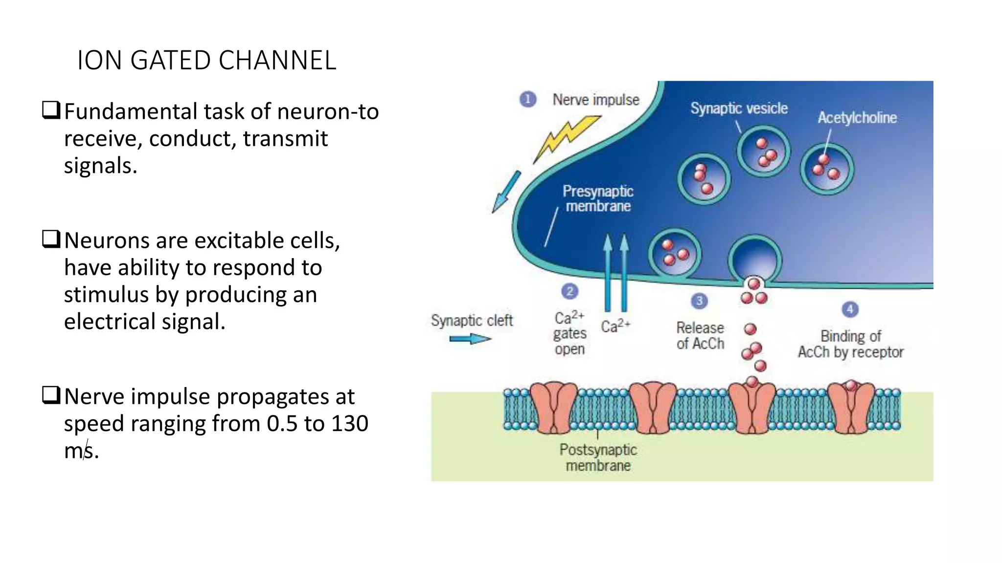 Types of signaling | PPTX