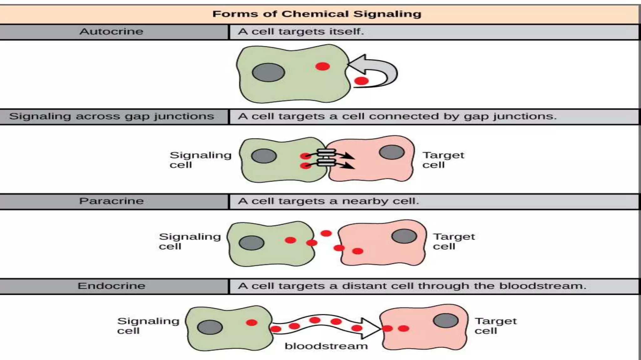 Types of signaling | PPTX