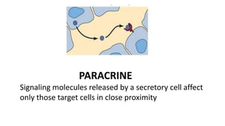 Types of signaling | PPTX