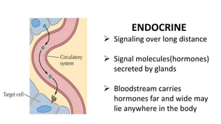 Types of signaling | PPTX