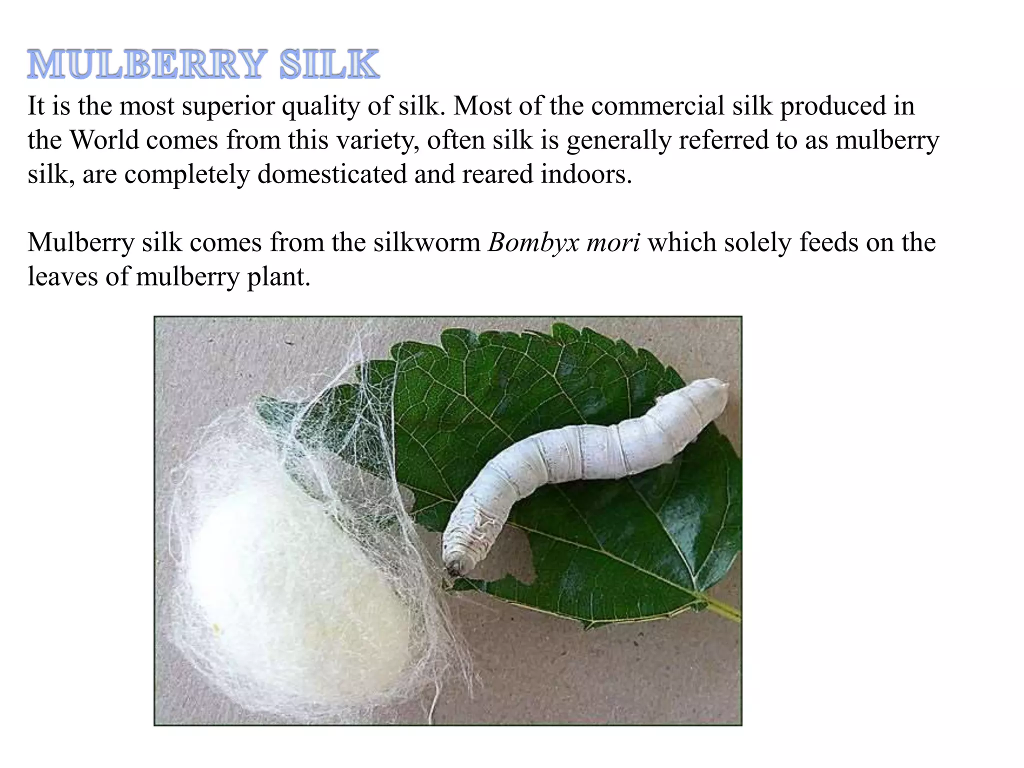 Types of silk | PPTX