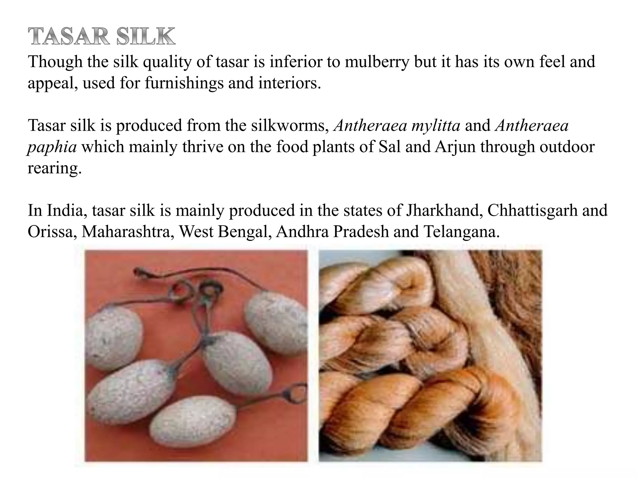 Types of silk | PPTX
