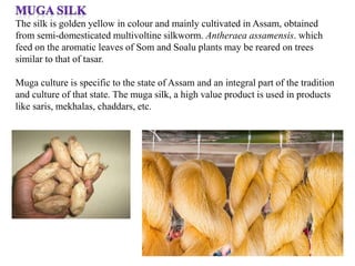 Types of silk | PPTX