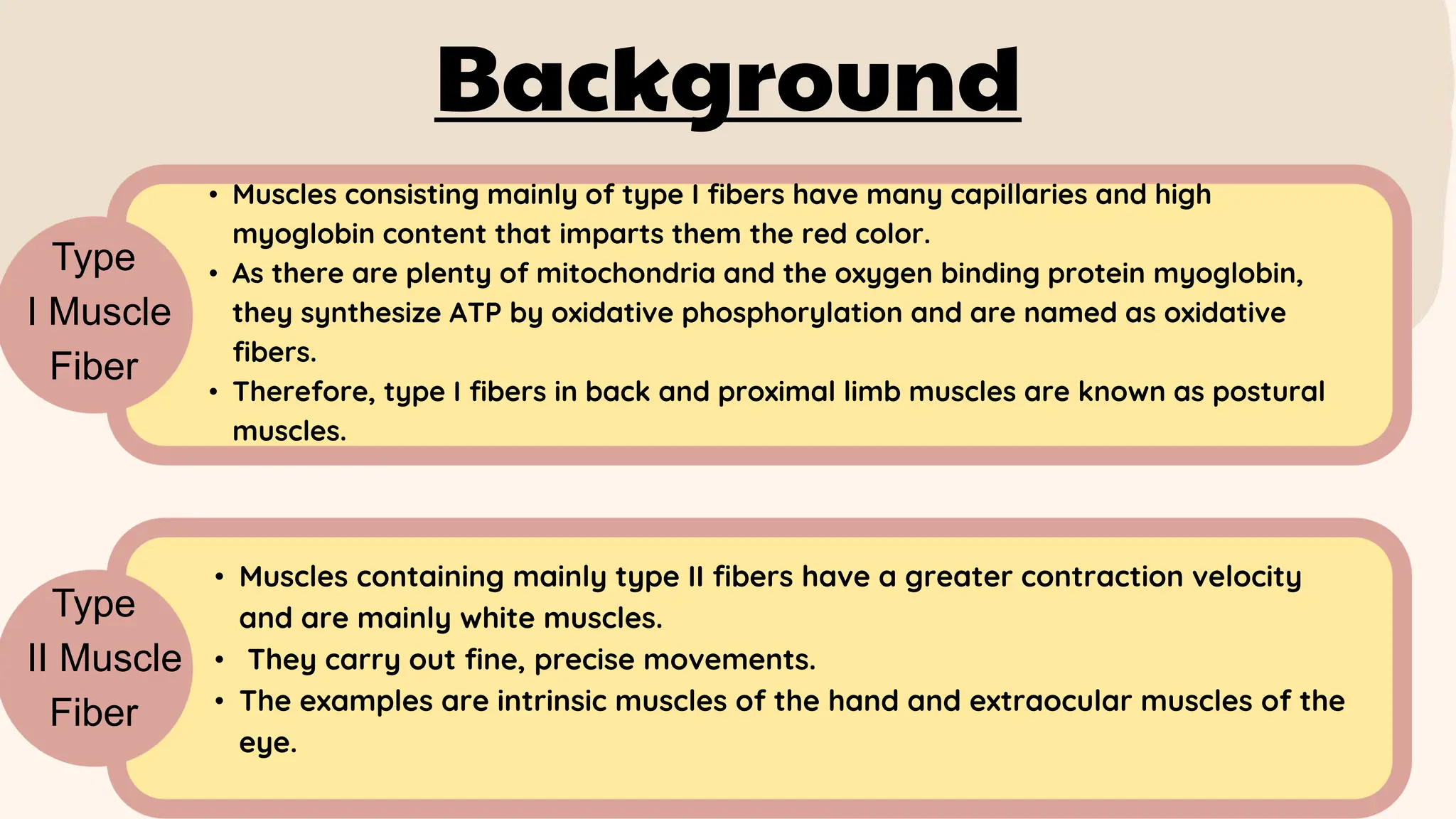 Types of Skeletal Muscle Fibers Physiology.pptx