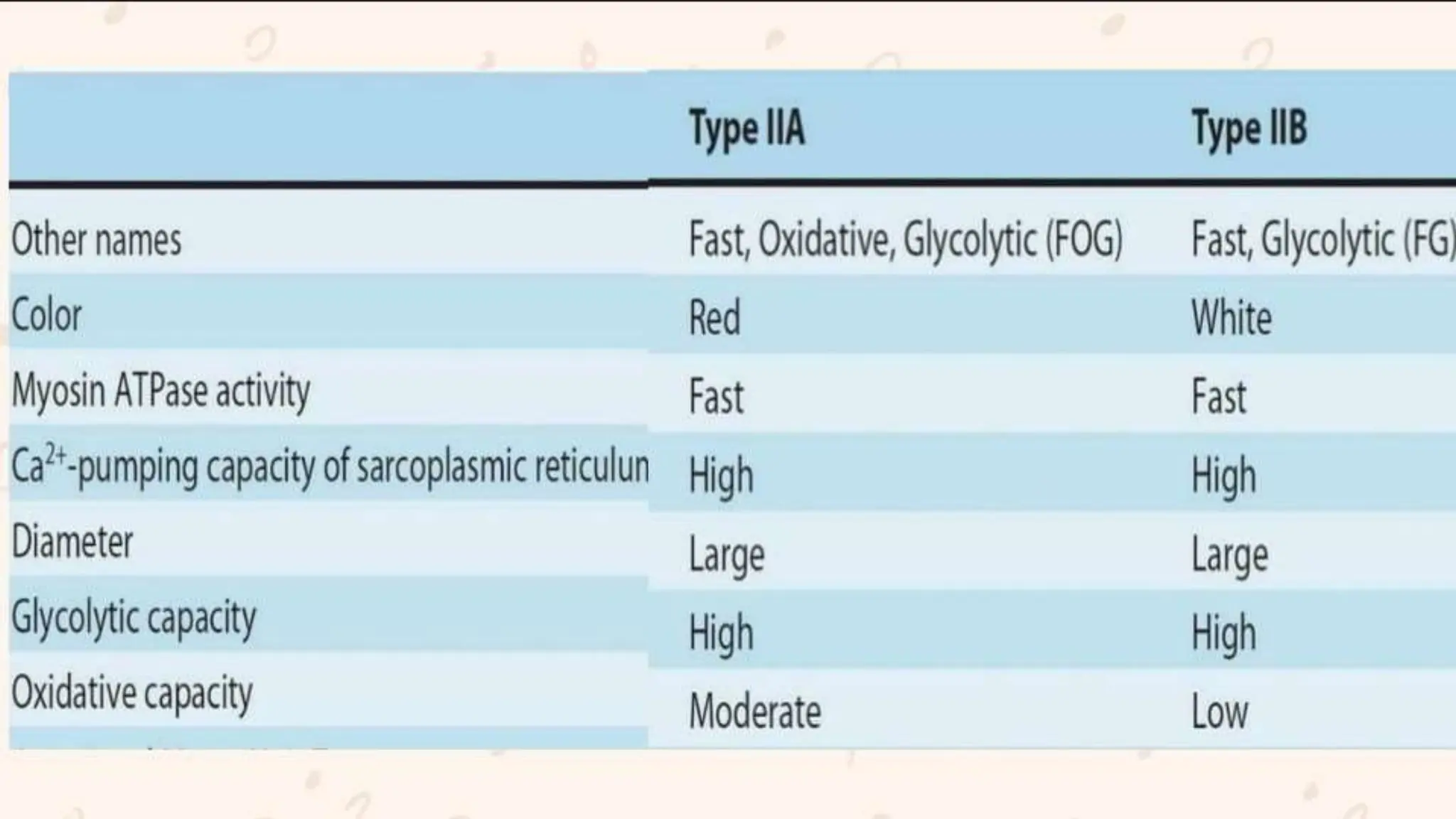 Types of Skeletal Muscle Fibers Physiology.pptx