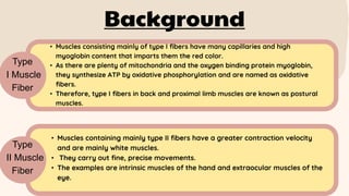 Types of Skeletal Muscle Fibers Physiology.pptx