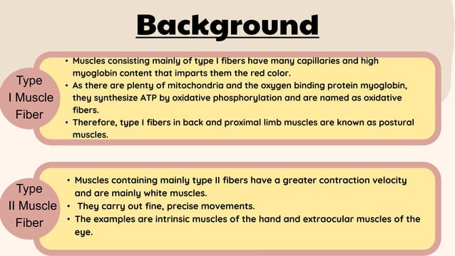 Types of Skeletal Muscle Fibers Physiology.pptx