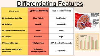 Types of Skeletal Muscle Fibers Physiology.pptx