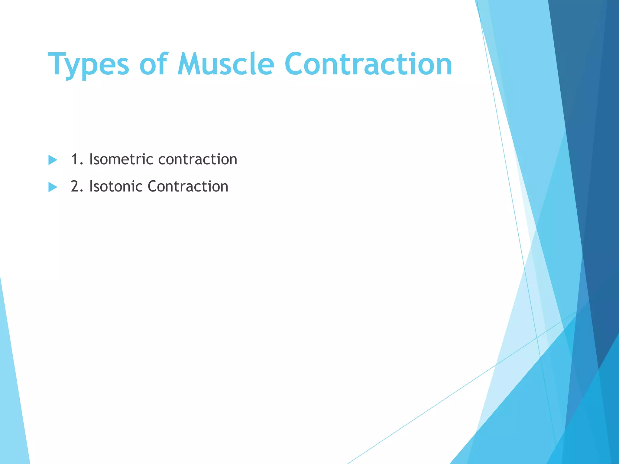 Types of skeletal muscle fibers, motor unit,isotonic and isometric ...
