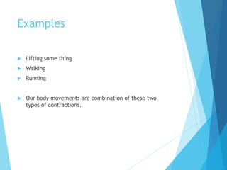 Types of skeletal muscle fibers, motor unit,isotonic and isometric ...