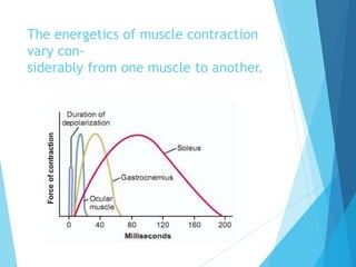 Types of skeletal muscle fibers, motor unit,isotonic and isometric ...