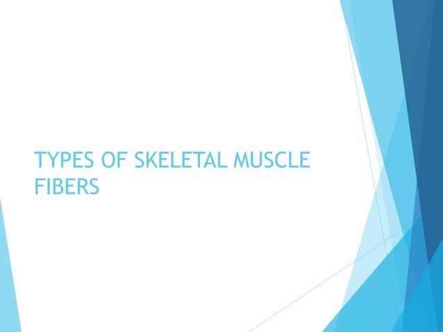 Types of skeletal muscle fibers, motor unit,isotonic and isometric ... Types of skeletal muscle fibers, motor unit,isotonic and isometric ...