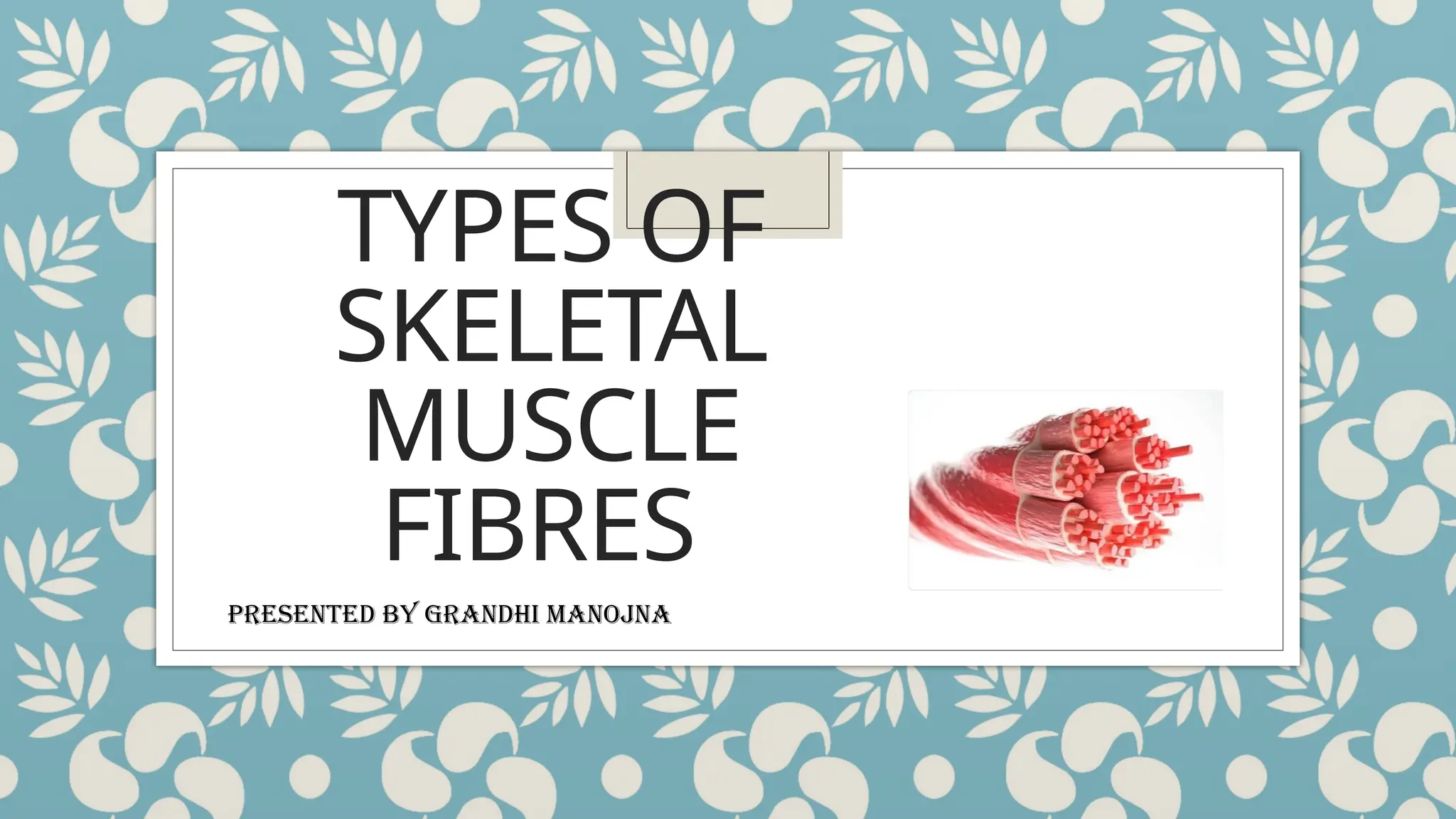 Types of skeletal muscles fibres by G.Manojna | PPTX