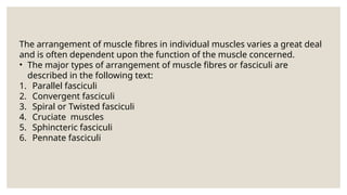 Types of skeletal muscles fibres by G.Manojna | PPTX