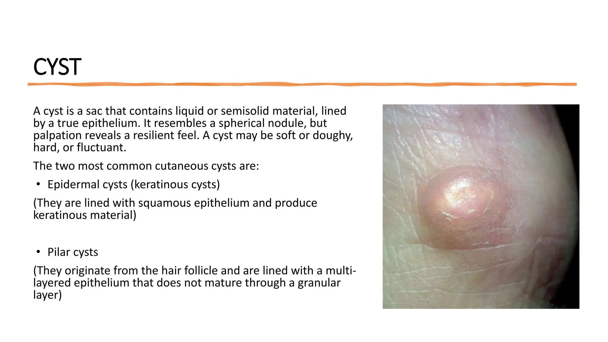 Clinical Classification of Skin Lesions: A Morphological Approach in ...