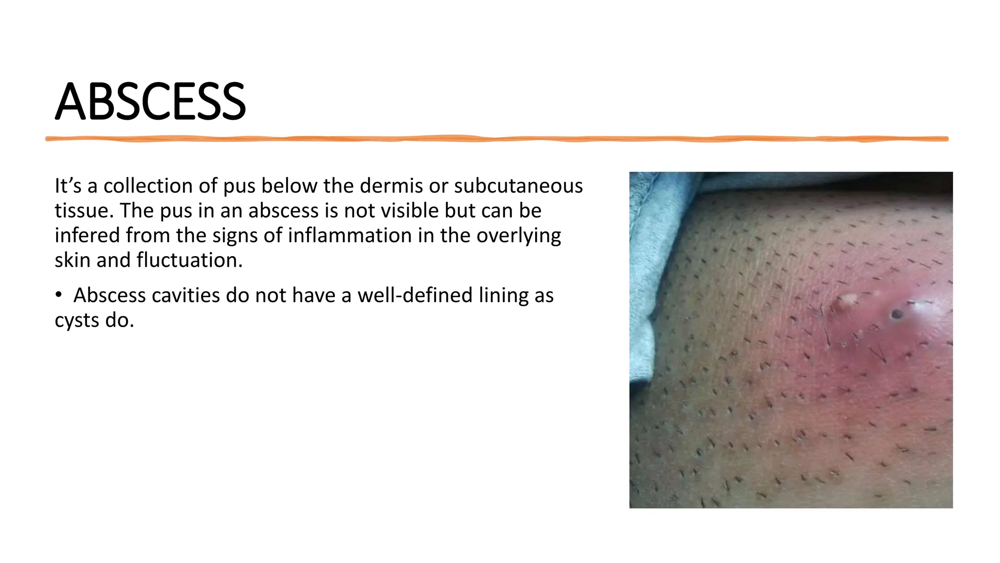 Clinical Classification of Skin Lesions: A Morphological Approach in ...