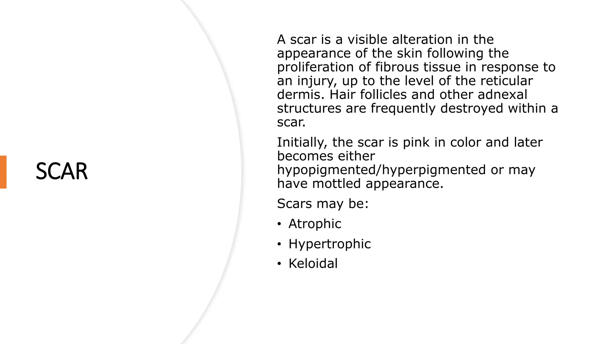 Clinical Classification of Skin Lesions: A Morphological Approach in ...