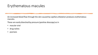 Clinical Classification of Skin Lesions: A Morphological Approach in ...