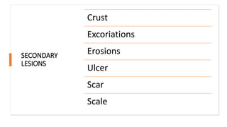 Clinical Classification of Skin Lesions: A Morphological Approach in ...