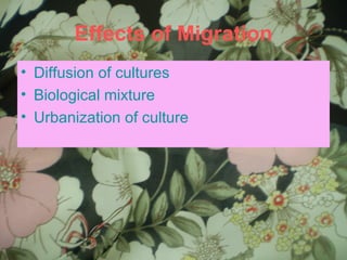 Types Of Social Mobility | PPT