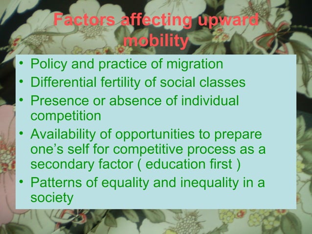 Types Of Social Mobility | PPT