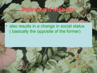 Types Of Social Mobility | PPT