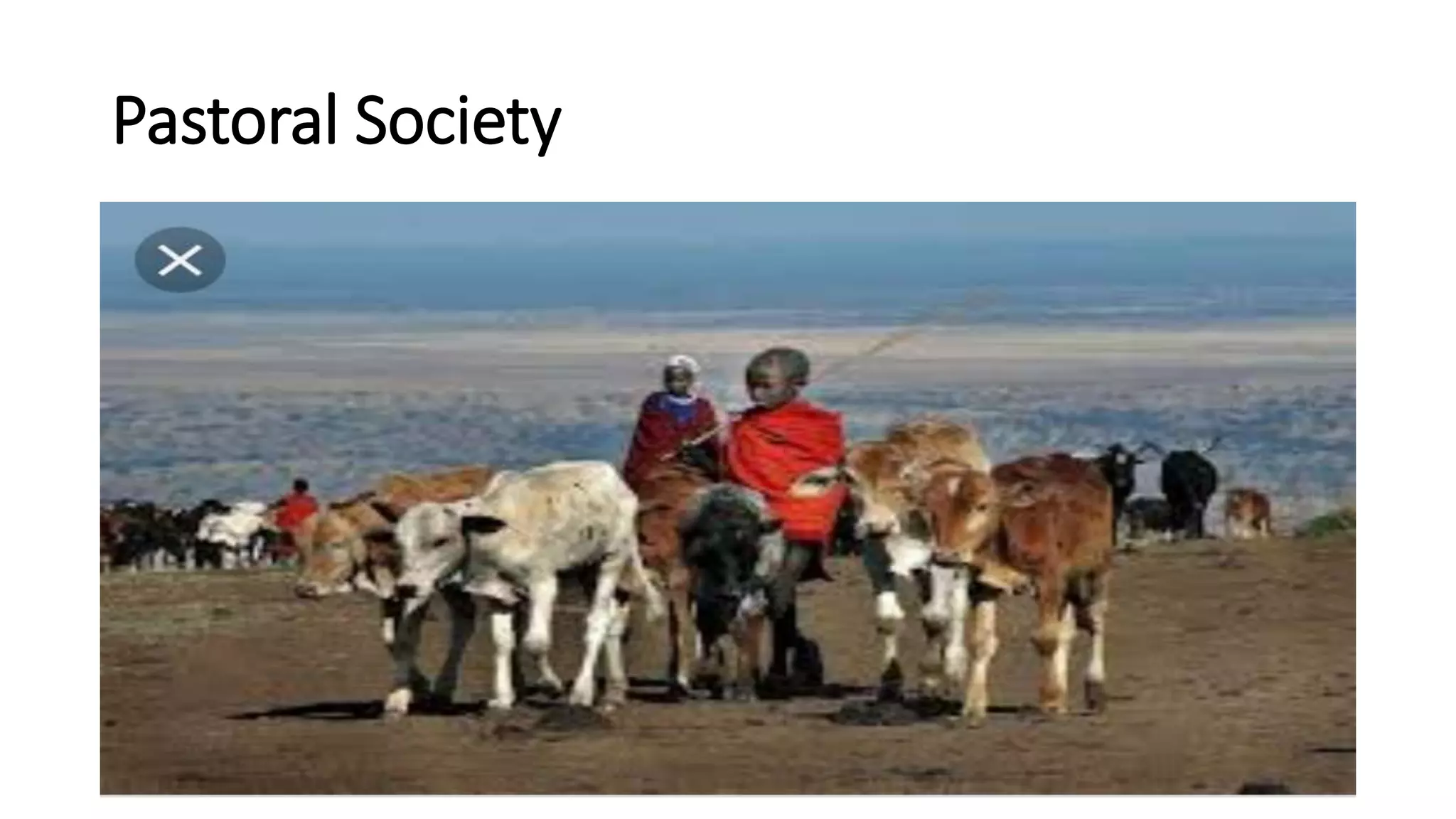 types of societies.pptx