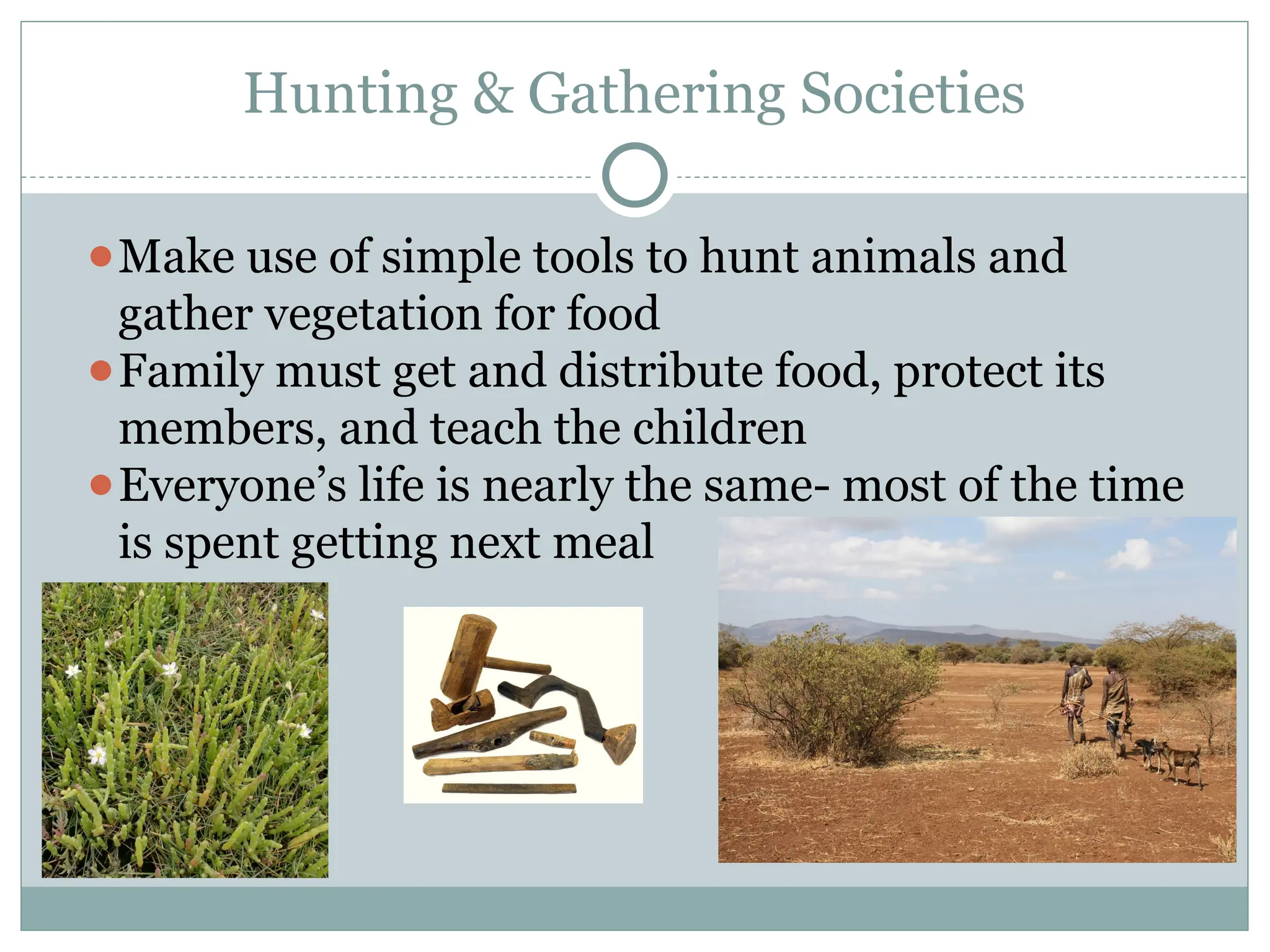 The different types of Societies Powerpoint | PPTX