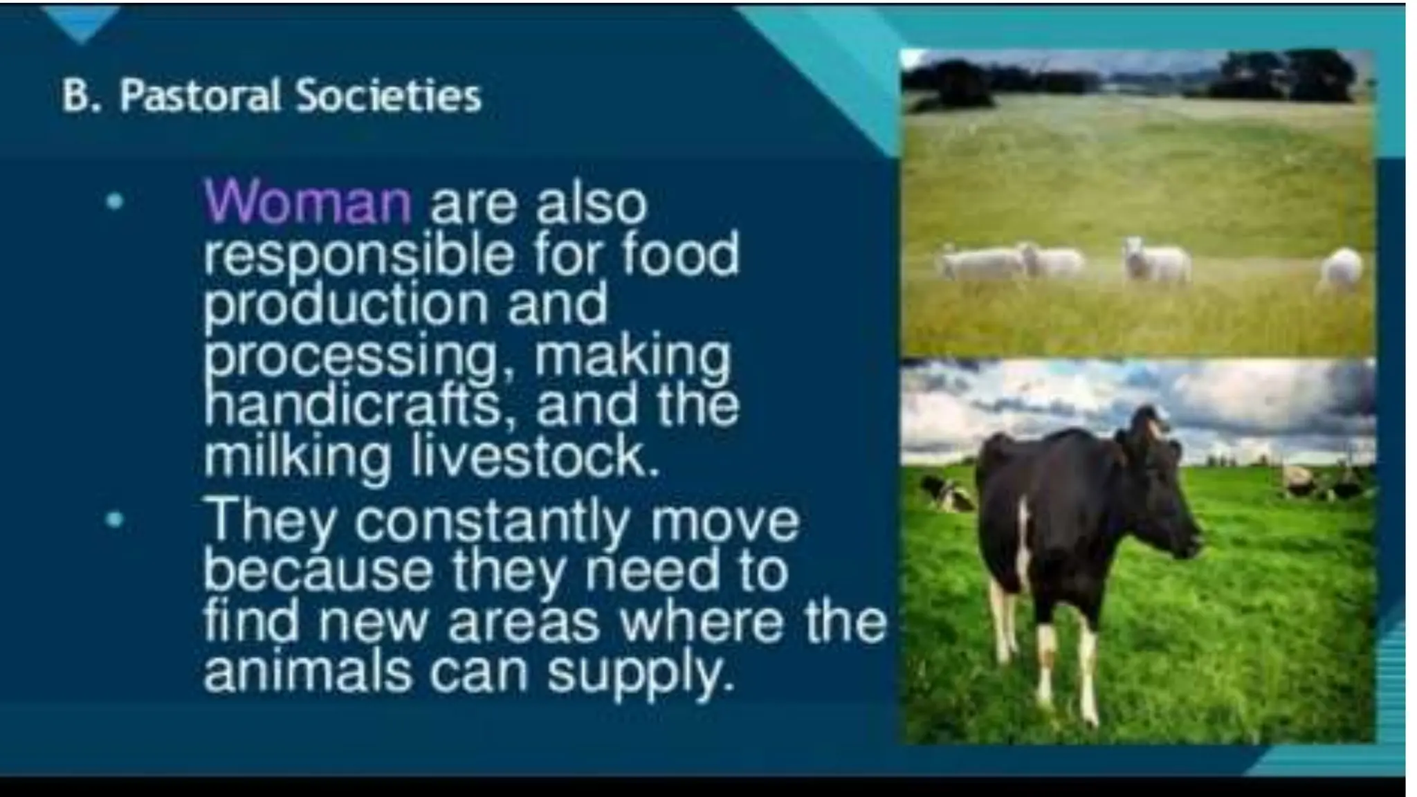 Types of Society.pptx