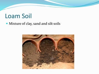 Types of soil | PPTX