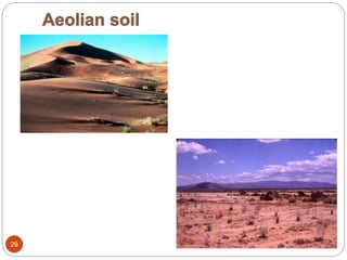 Aeolian Soil