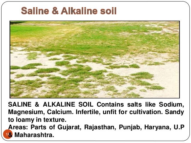 Types of soil