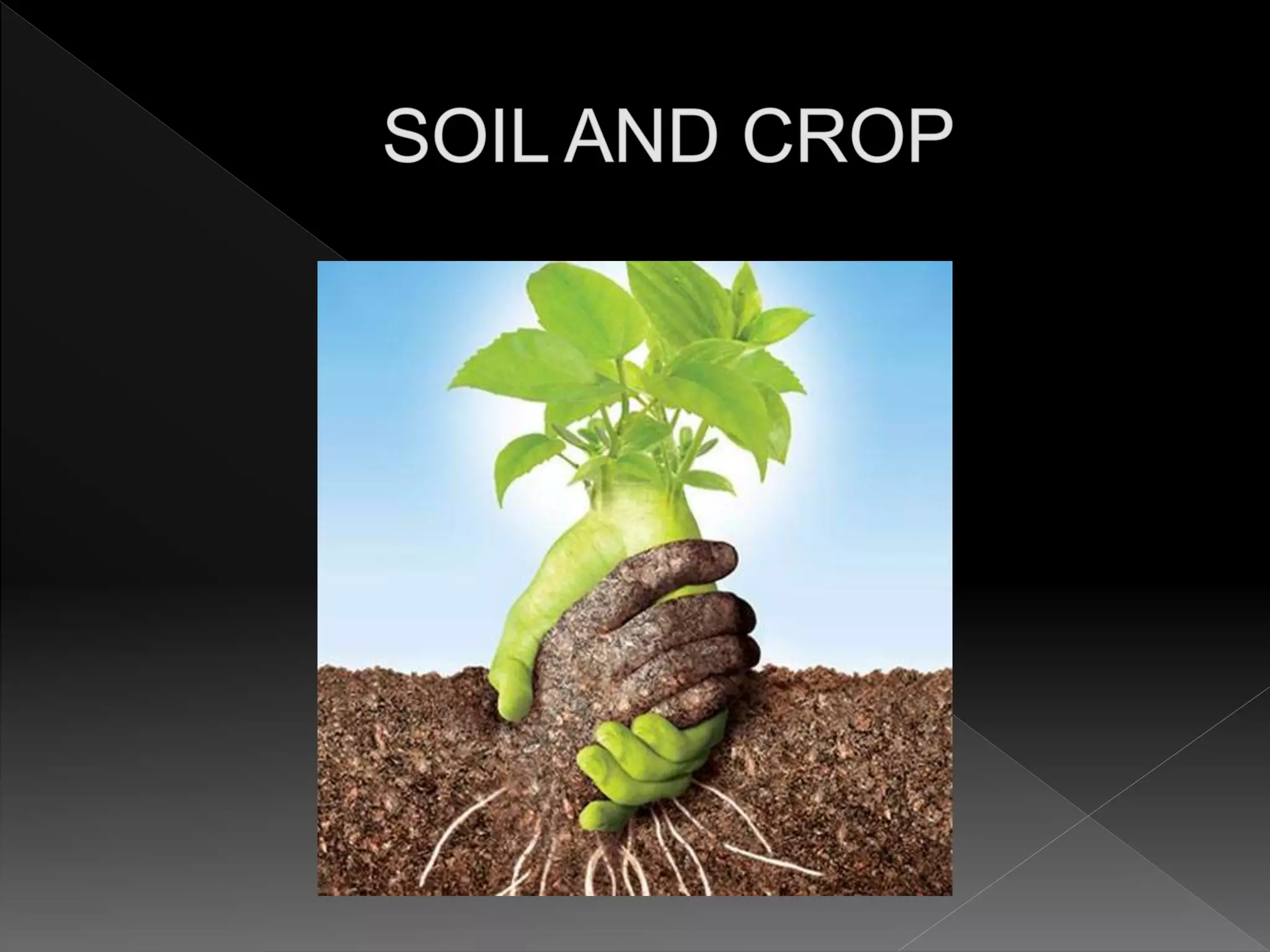 Types of soil | PPTX