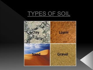 Types of soil | PPTX