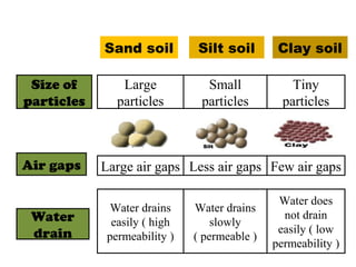 Types of soil | PPT | Geology | Science