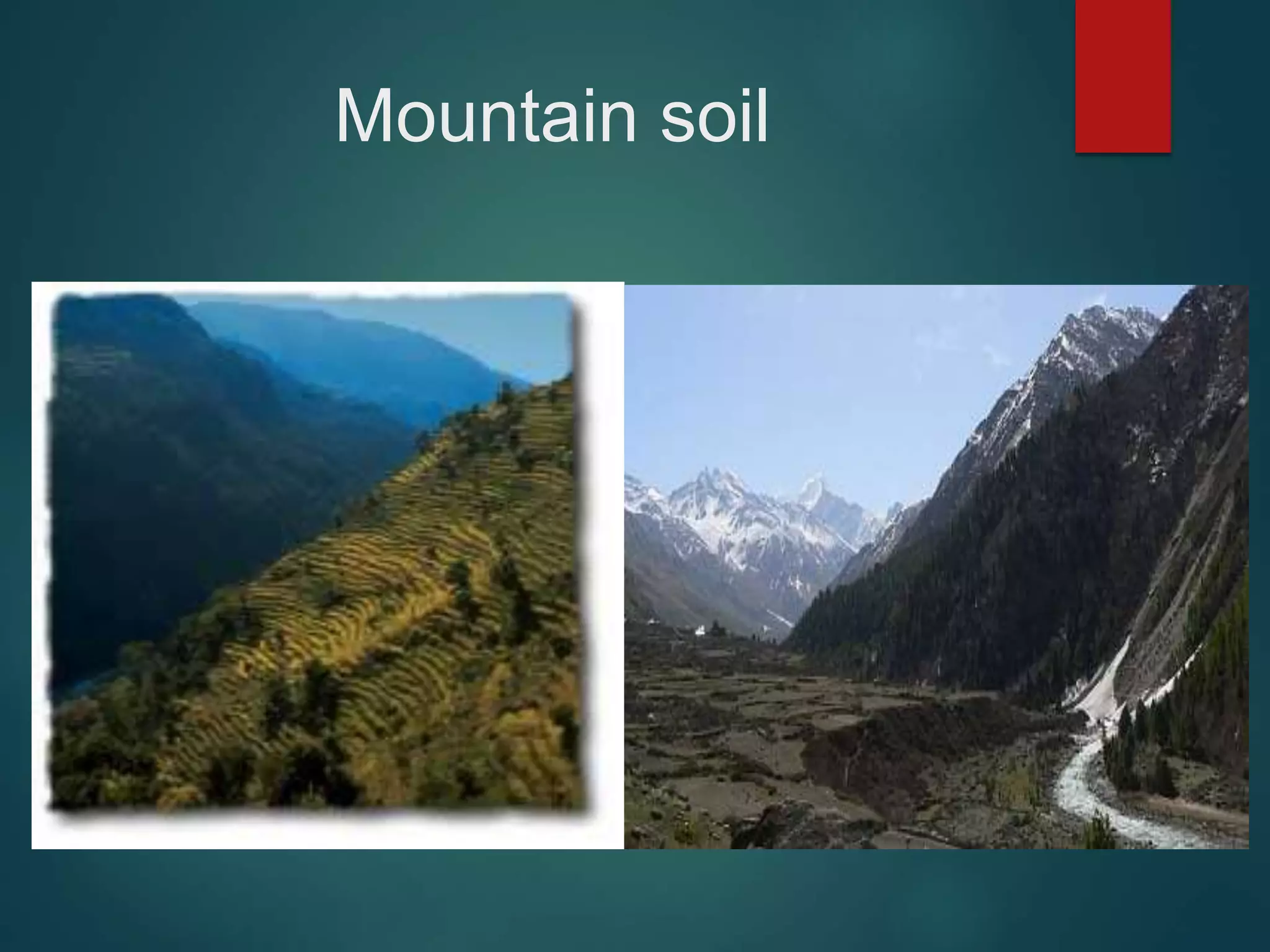 Types of soil | PPTX
