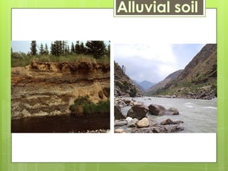 Types of soil | PPT