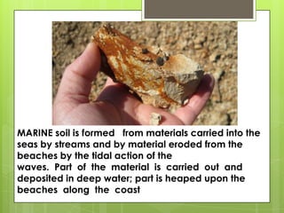Types of soil | PDF | Geology | Science