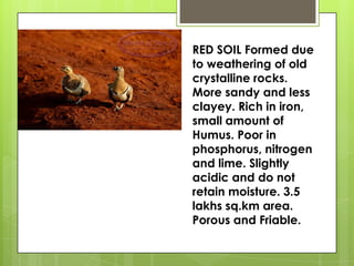 Types of soil | PDF | Geology | Science