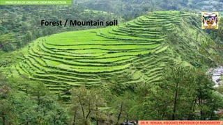 Types of soil | PPTX
