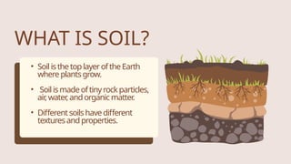 Understanding Soil Types: Characteristics, Water Retention, and Uses ...