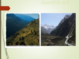 Types of soil by vishnu 1510 | PPT