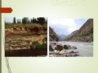 Types of soil by vishnu 1510 | PPT