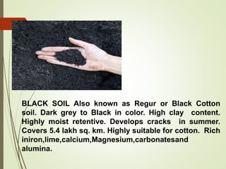 Types of soil by vishnu 1510 | PPT