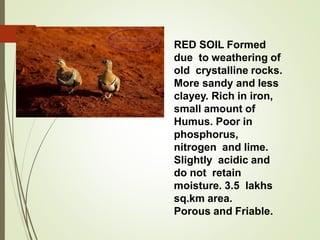 Types of soil by vishnu 1510 | PPT