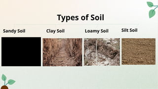 Types Of Soil.. Grade eight and grade nine | PPTX